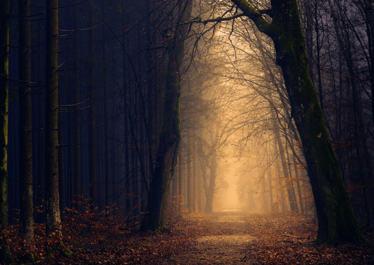 Opportunity or Trap? – Superkaduper!